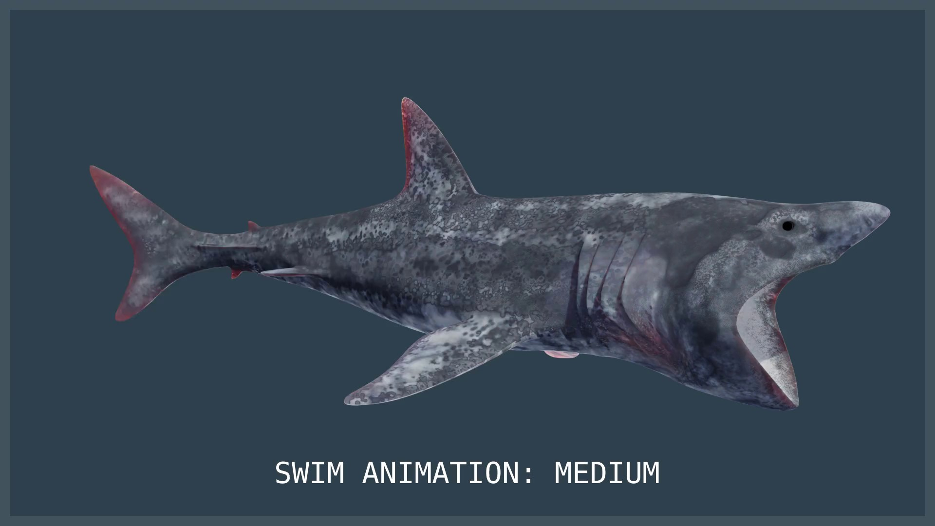 Animated Basking Shark model - TurboSquid 2044440