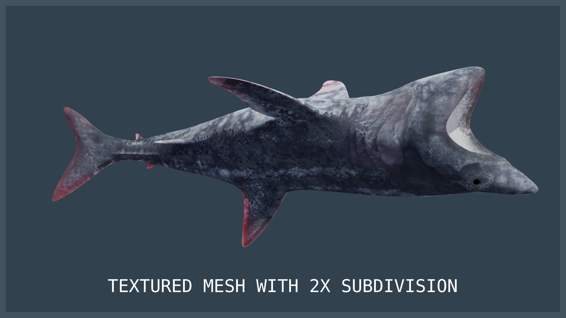 Animated Basking Shark model - TurboSquid 2044440