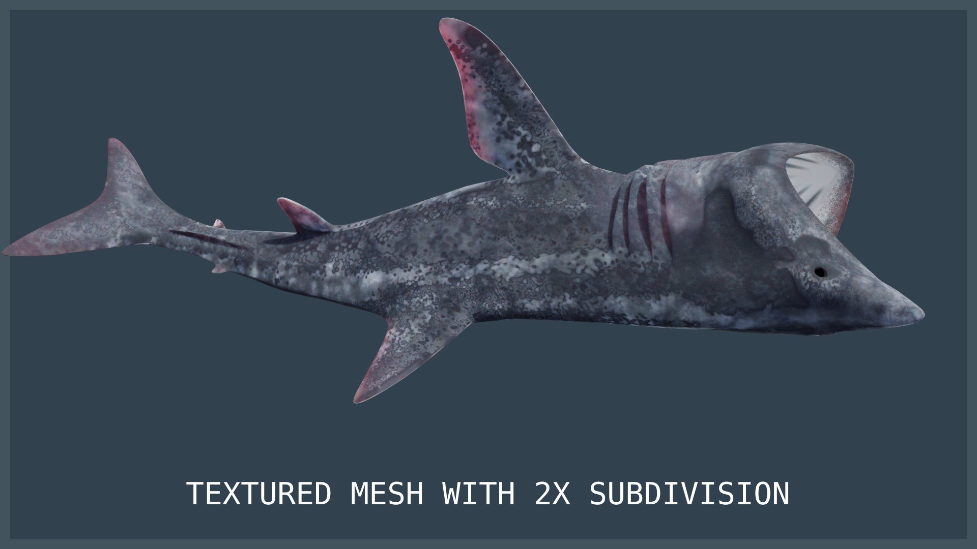 Animated Basking Shark model - TurboSquid 2044440