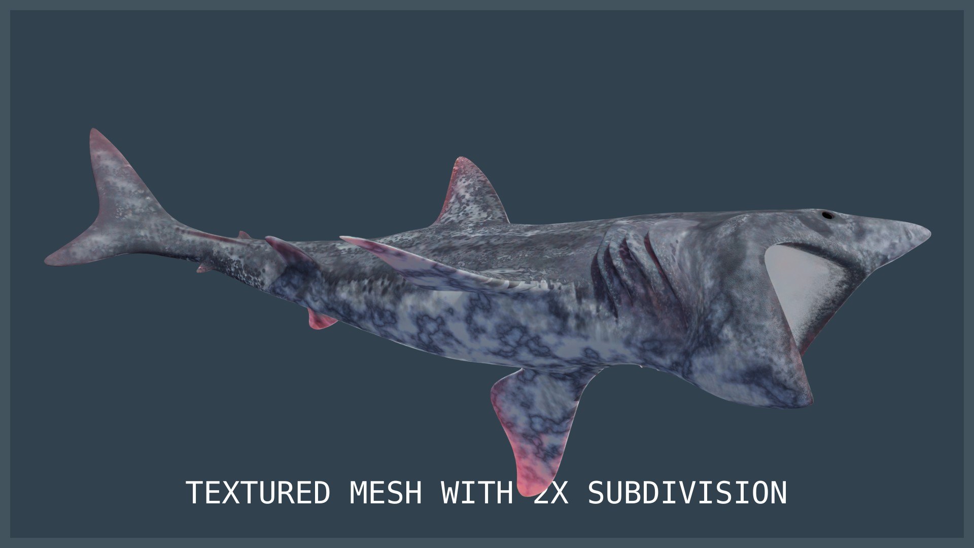 Animated Basking Shark model - TurboSquid 2044440