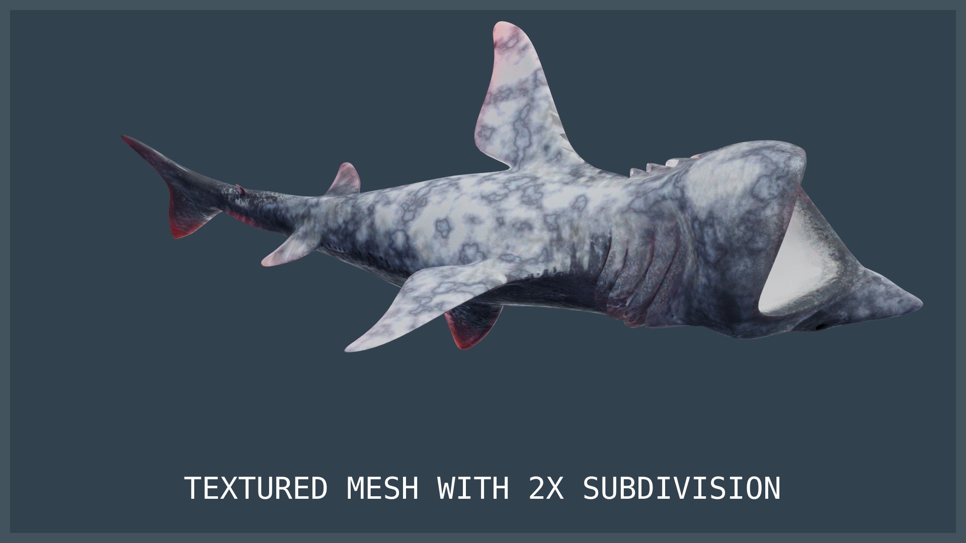 Animated Basking Shark model - TurboSquid 2044440