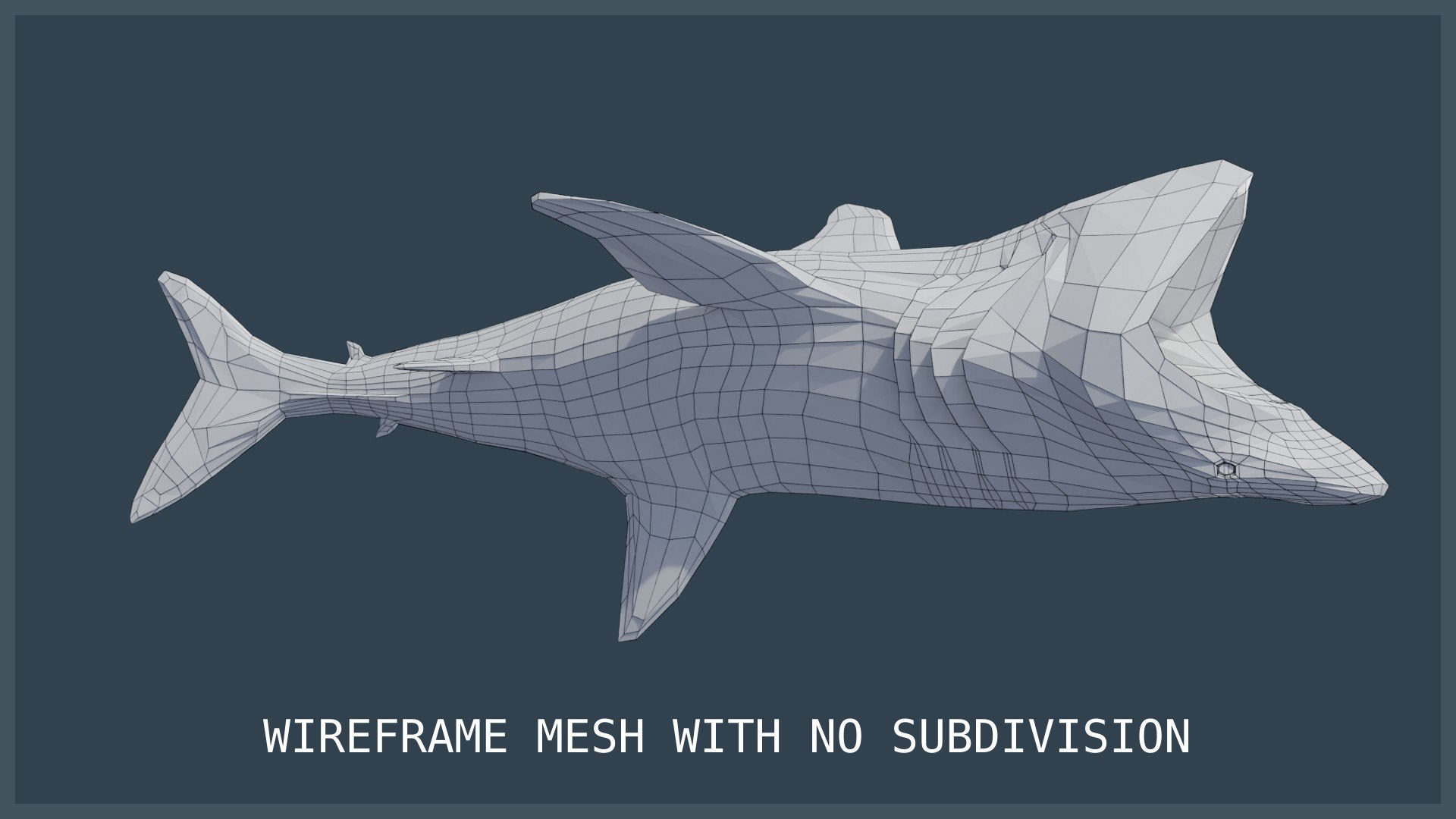 Animated Basking Shark model - TurboSquid 2044440