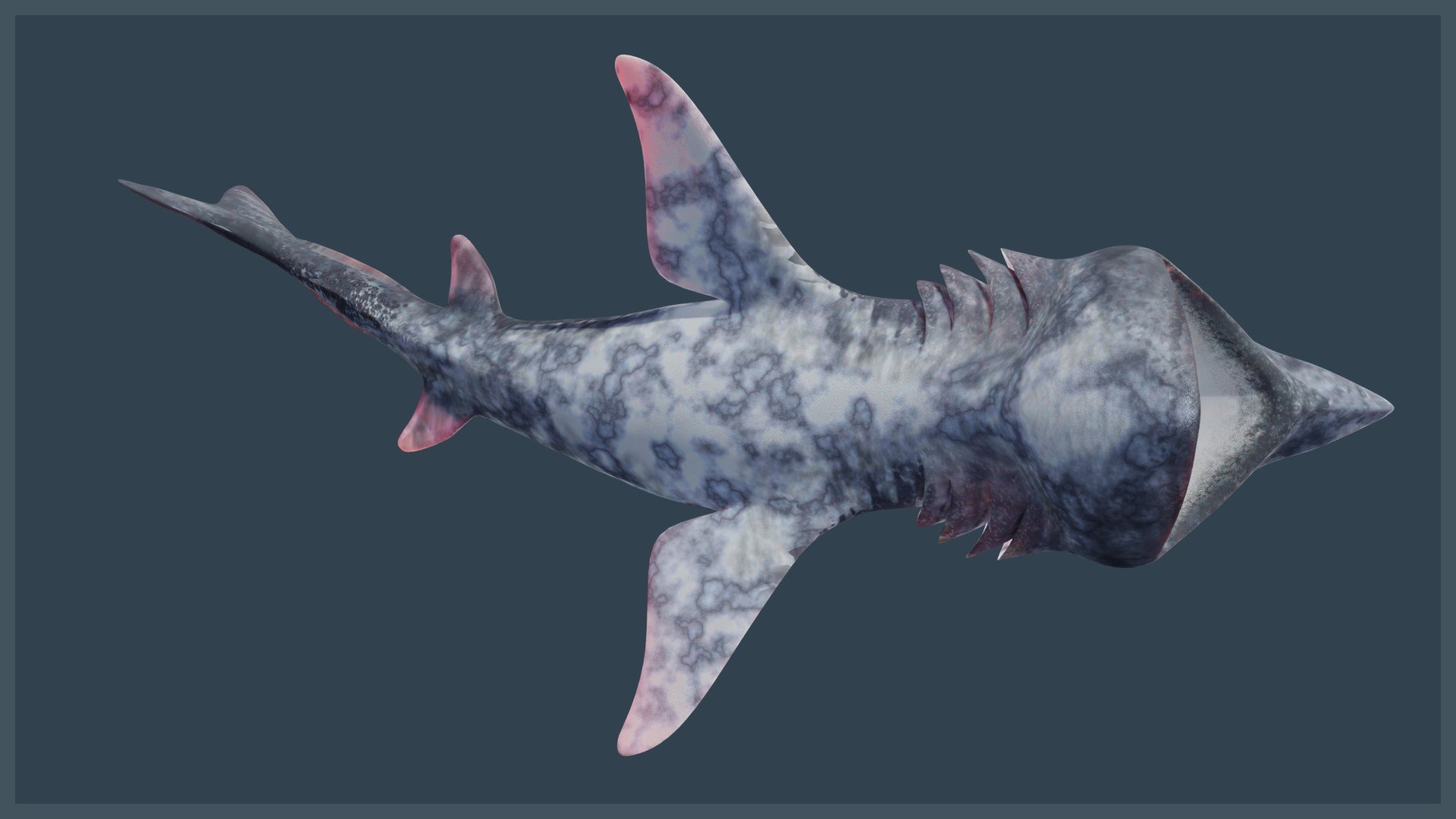 Animated Basking Shark model - TurboSquid 2044440