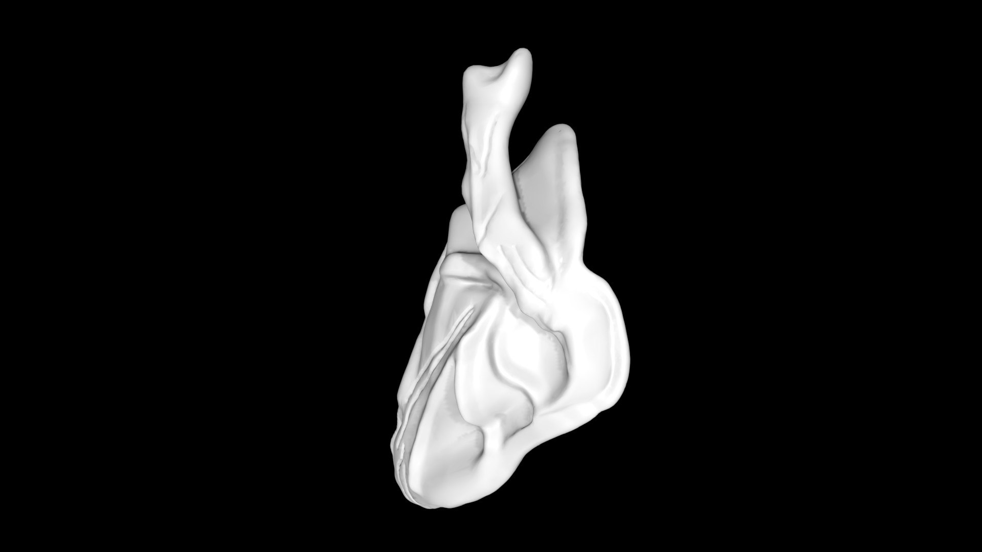 3D Scapula - TurboSquid 1891134