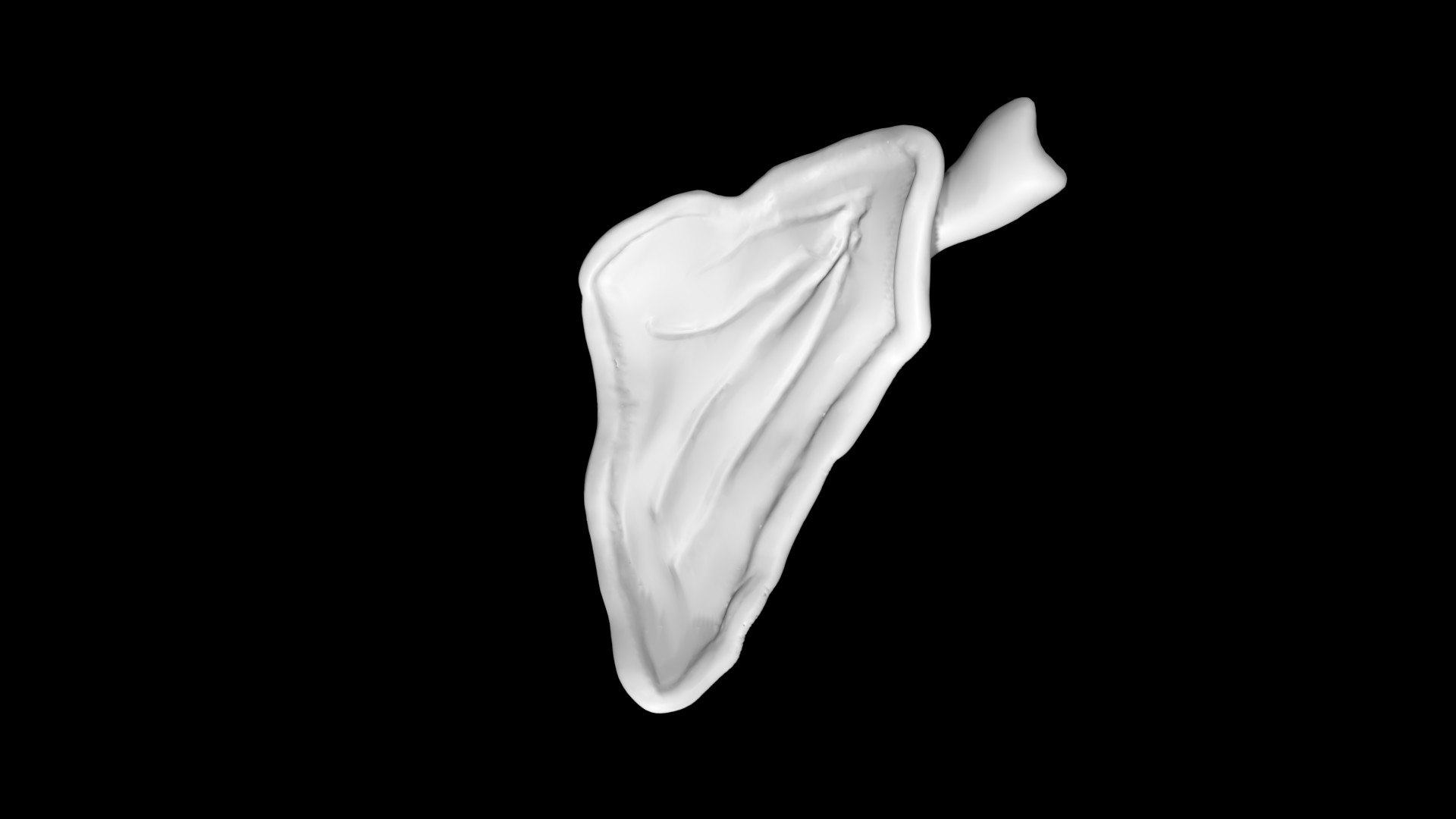 3D Scapula - TurboSquid 1891134