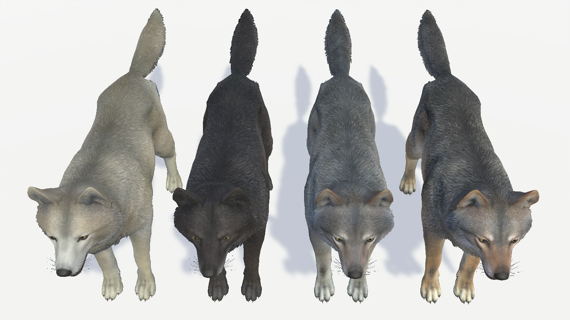 3D Model Wolf - Male - TurboSquid 2113716