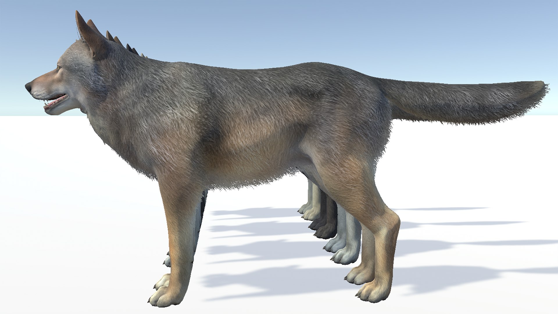 3D Model Wolf - Male - TurboSquid 2113716