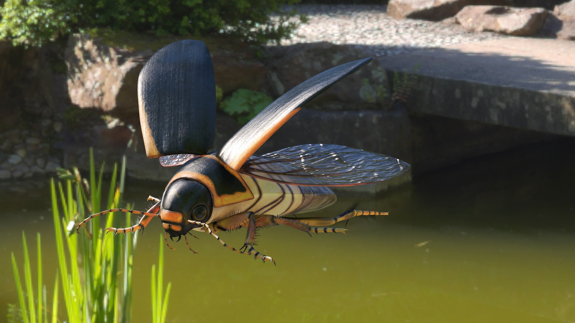 3D Hygrobia Beetle Brown Realistic Flying Model - TurboSquid 2241952