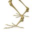 Realistic Bird Skeleton 3d Model
