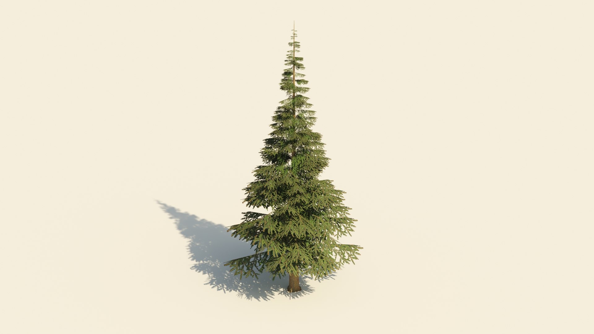 Spruce V5 Lowpoly 3D Model - TurboSquid 2319115