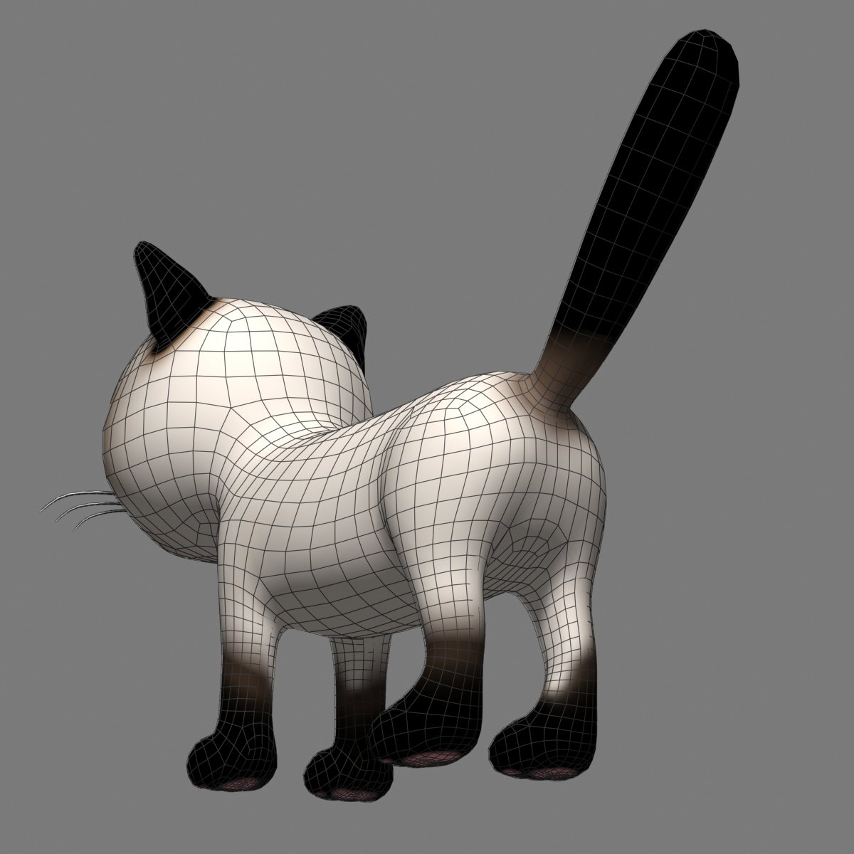 3d cat cartoon rigged