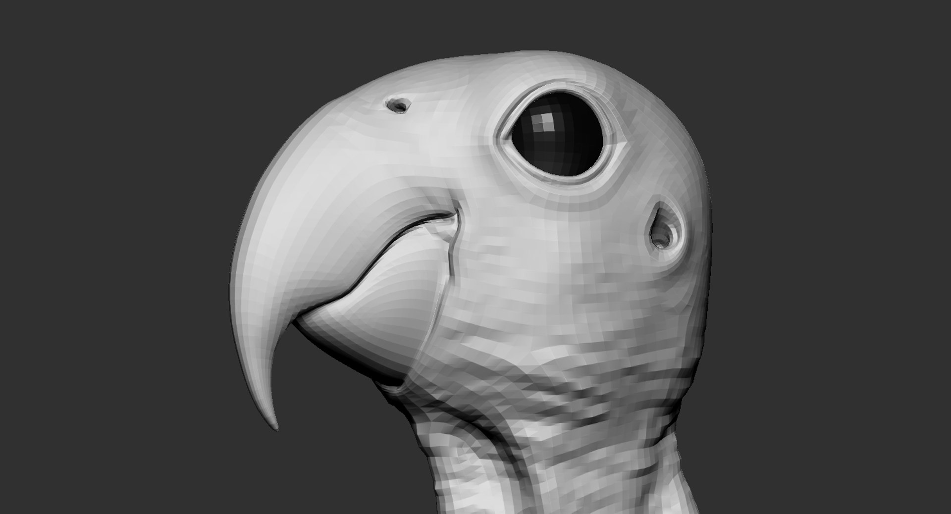Parrot Head Base Mesh 3D Model - TurboSquid 1428858