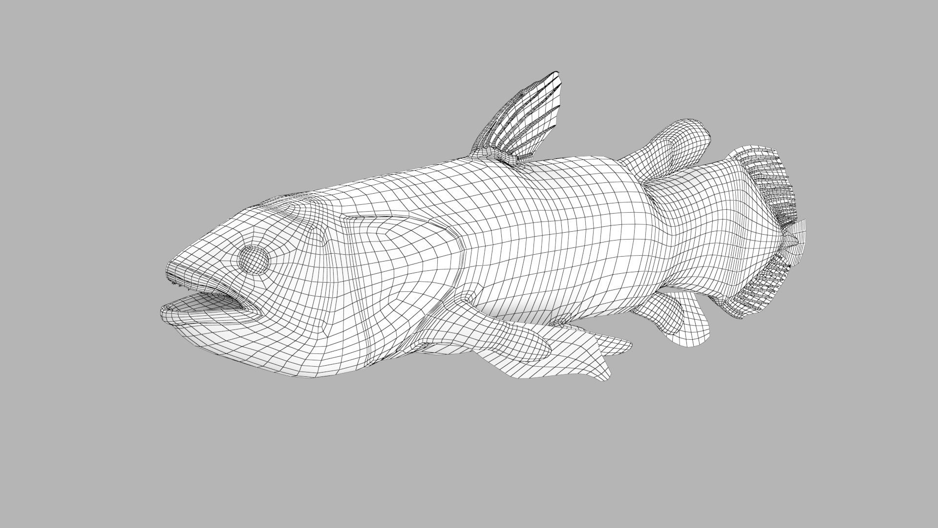 3D Coelacanth Pbr - TurboSquid 1463800