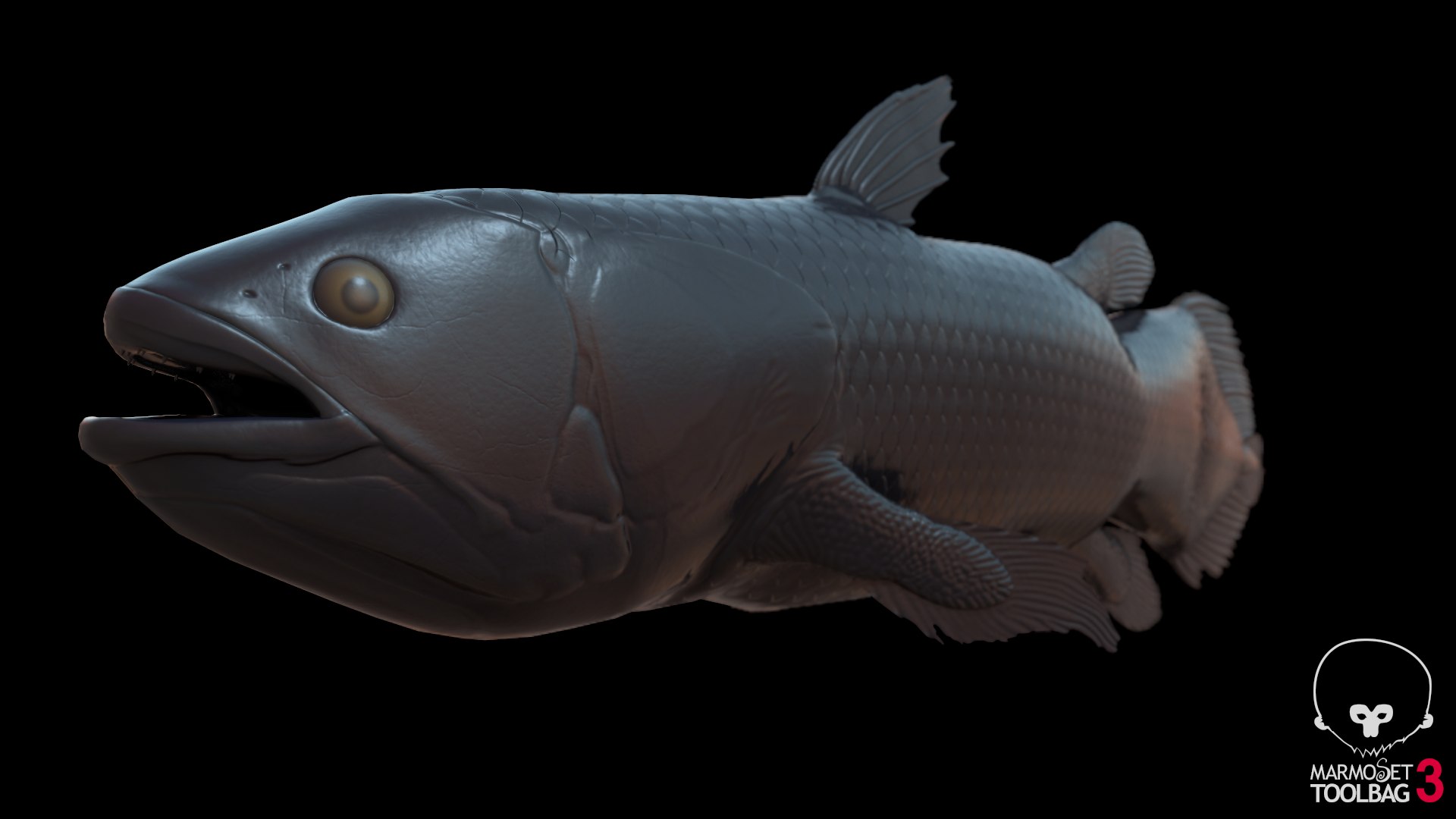 3D Coelacanth Pbr - TurboSquid 1463800