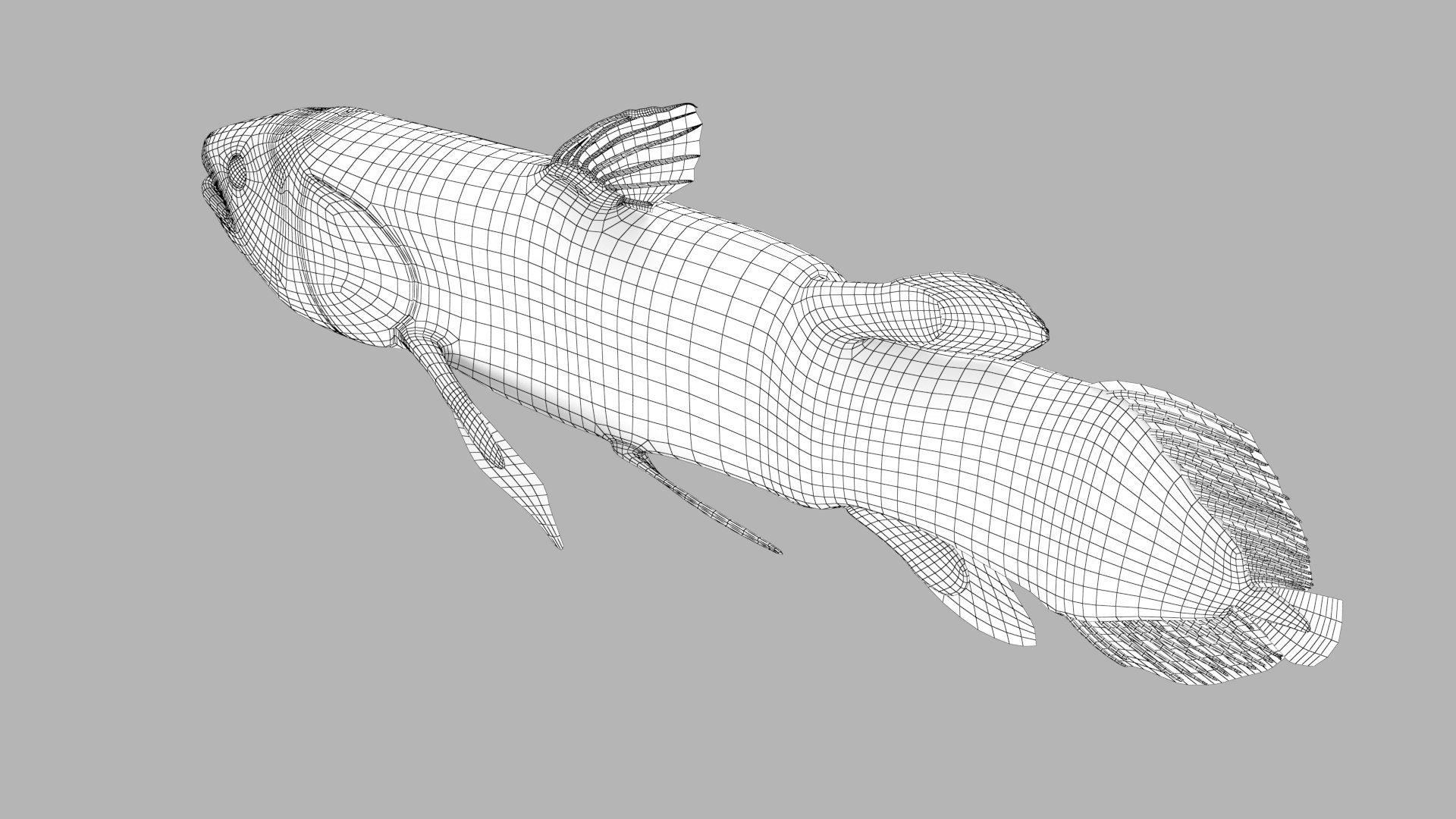 3D Coelacanth Pbr - TurboSquid 1463800