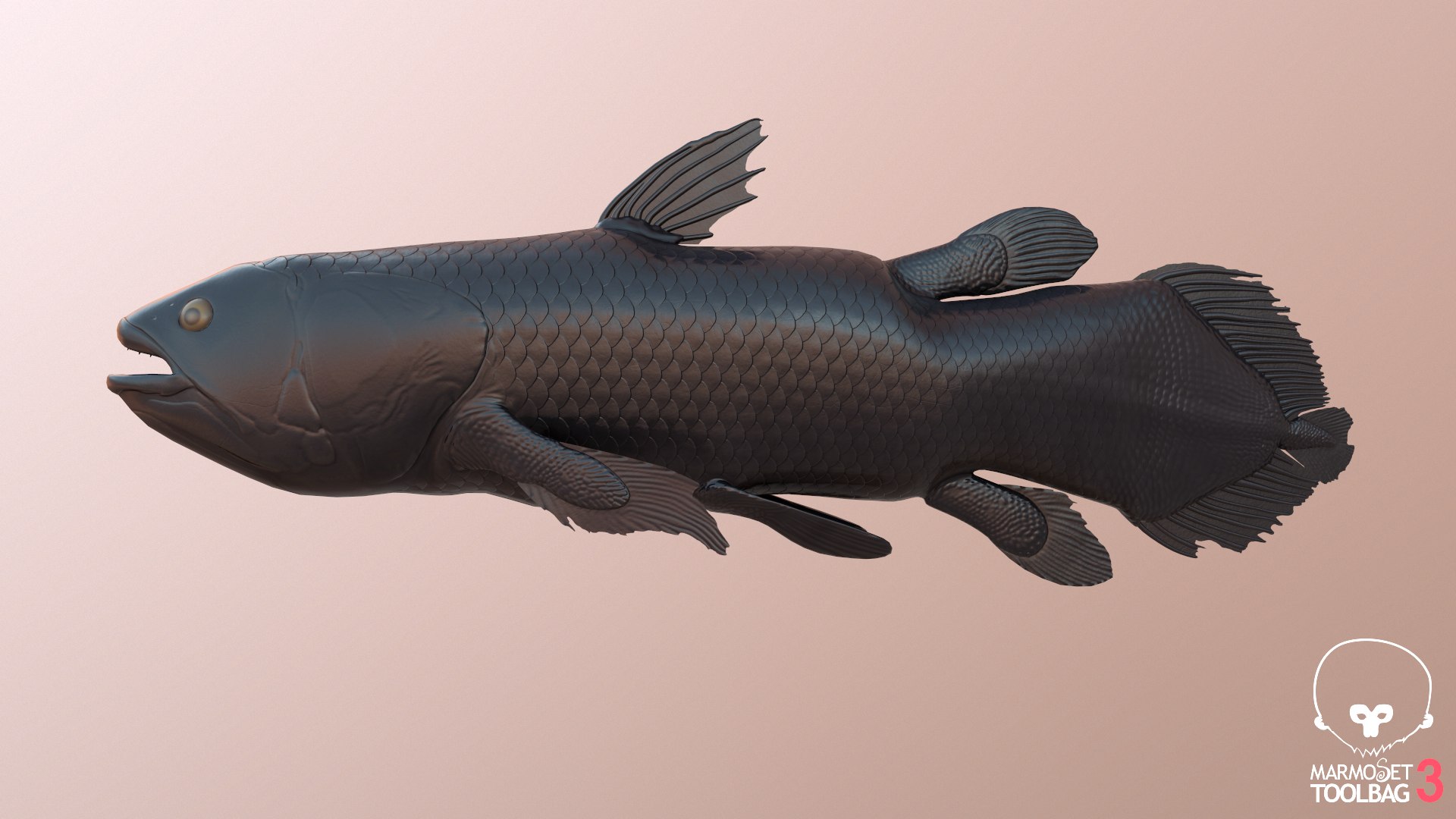 3D Coelacanth Pbr - TurboSquid 1463800