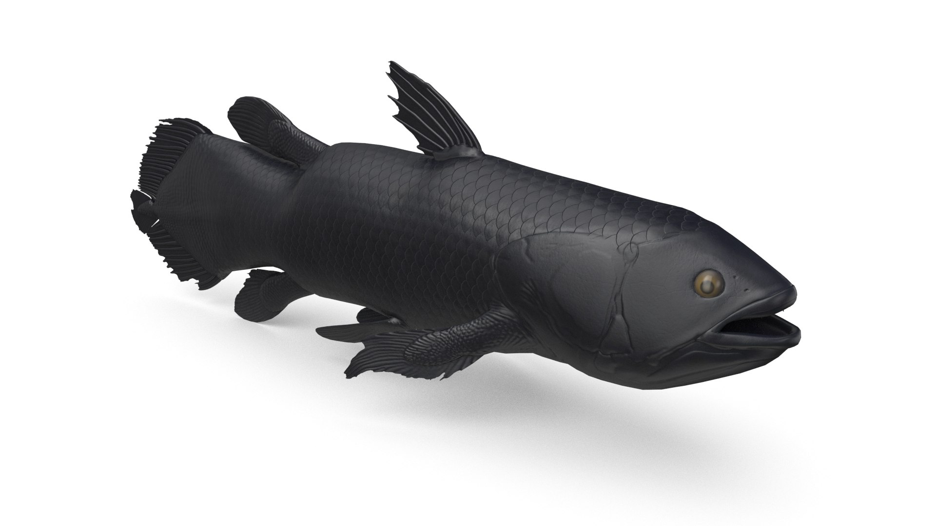 3D Coelacanth Pbr - TurboSquid 1463800