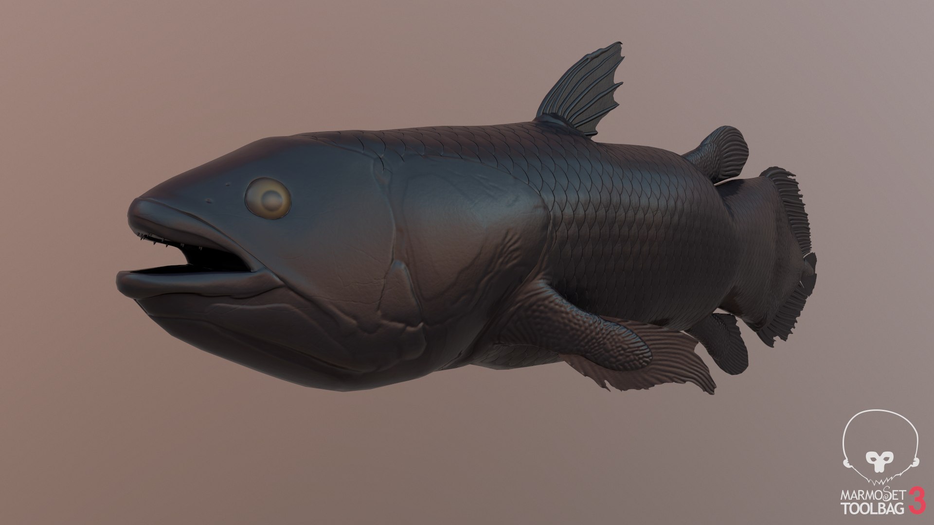 3D Coelacanth Pbr - TurboSquid 1463800