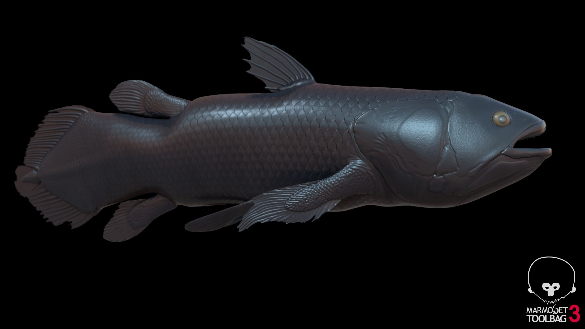 3D Coelacanth Pbr - TurboSquid 1463800