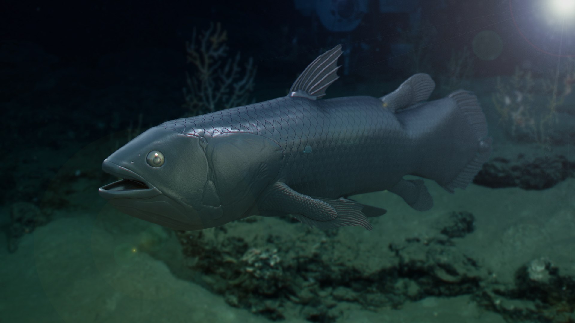 3D Coelacanth Pbr - TurboSquid 1463800