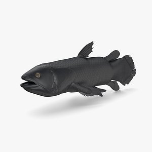 3D Coelacanth Models | TurboSquid