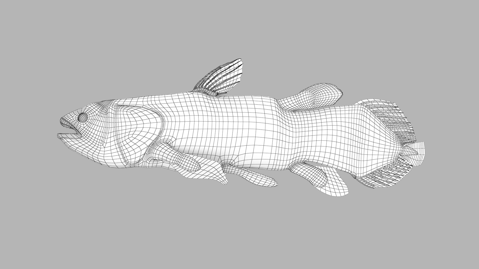 3D Coelacanth Pbr - TurboSquid 1463800