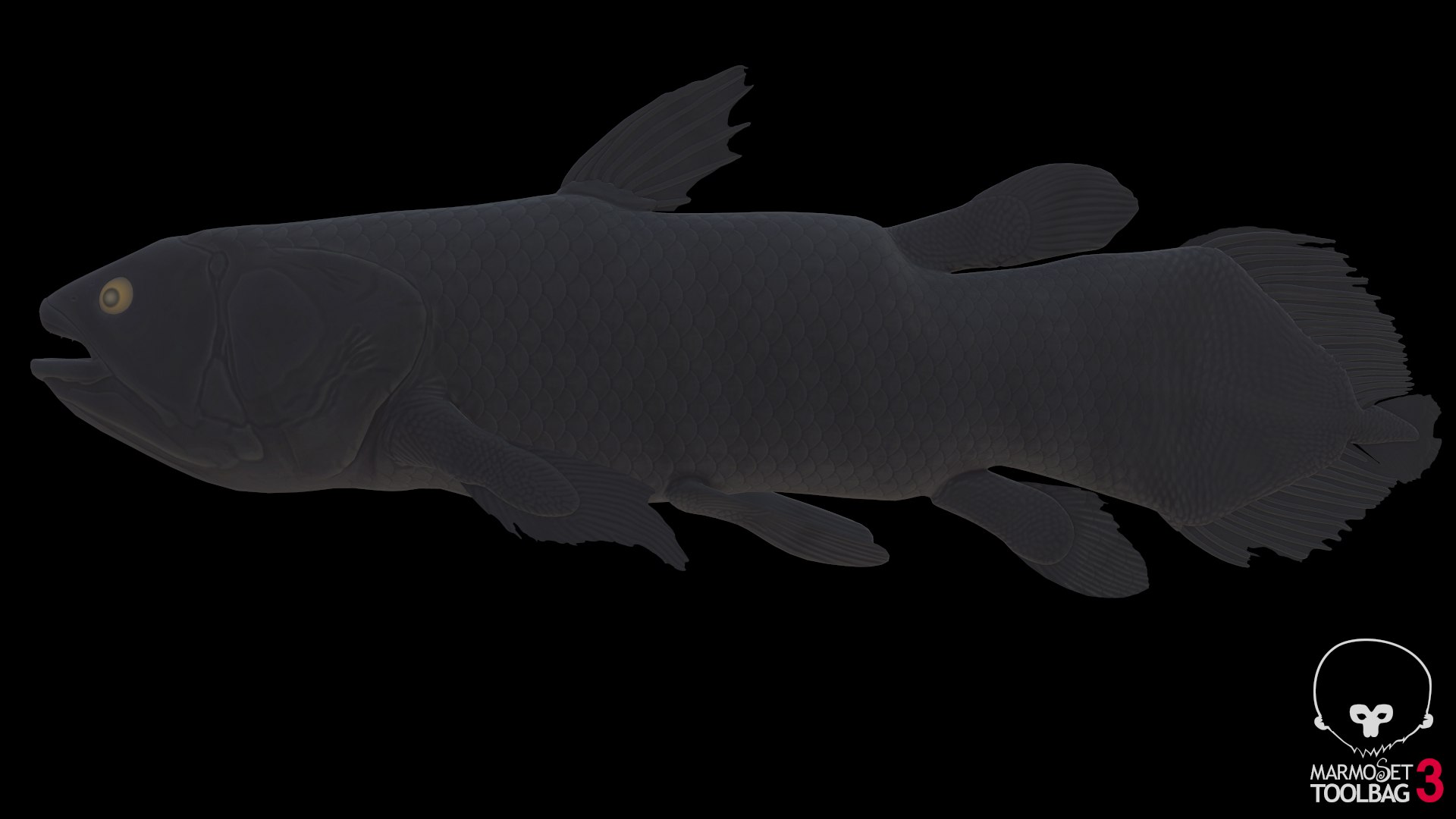 3D Coelacanth Pbr - TurboSquid 1463800