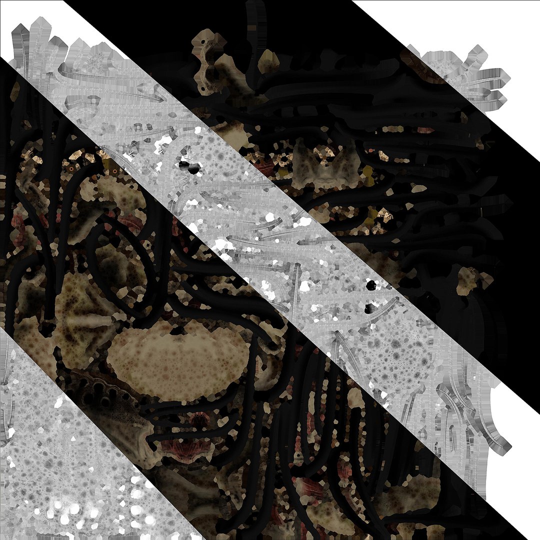 3d Head Predator Model