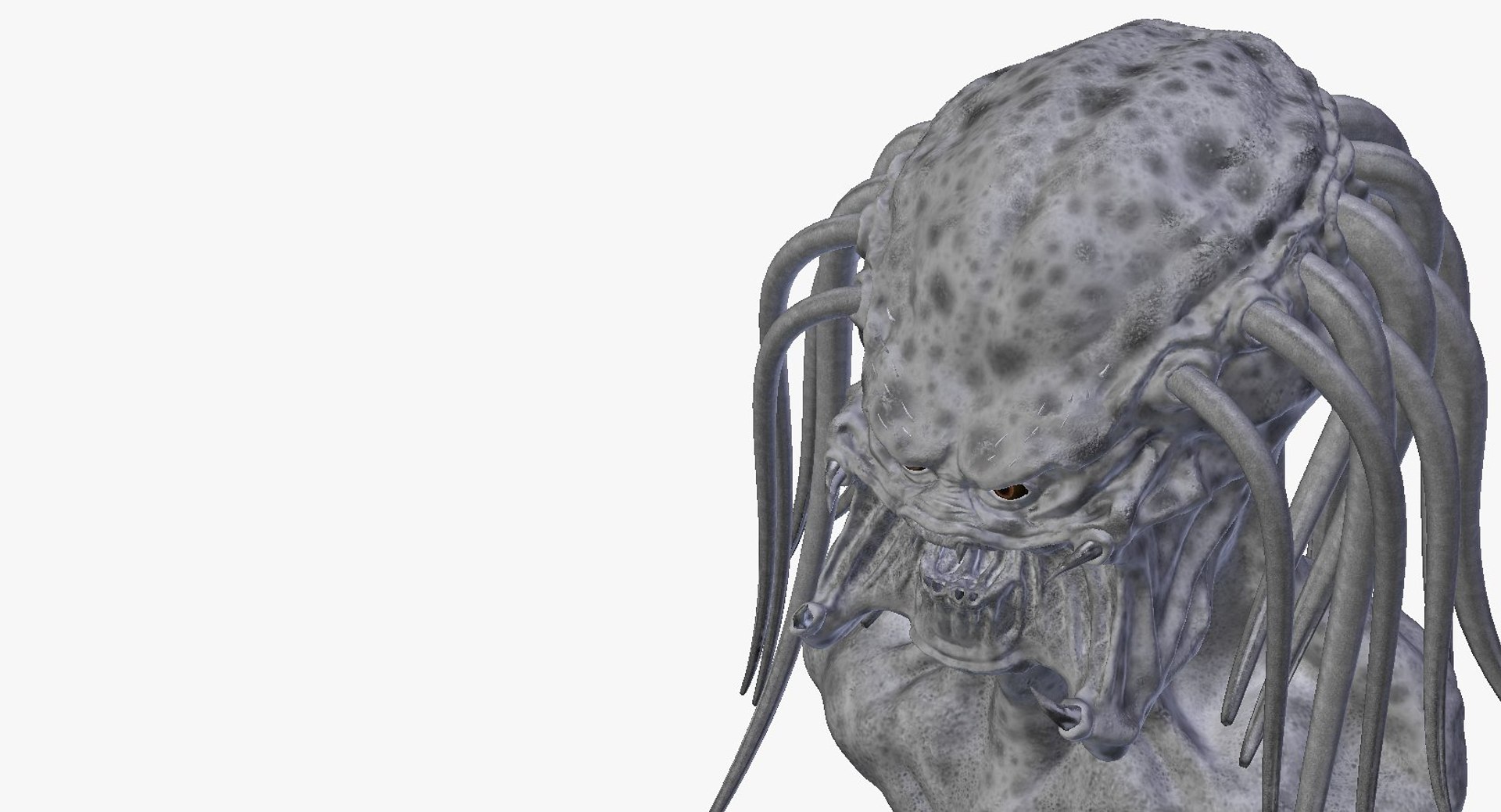 3d Head Predator Model