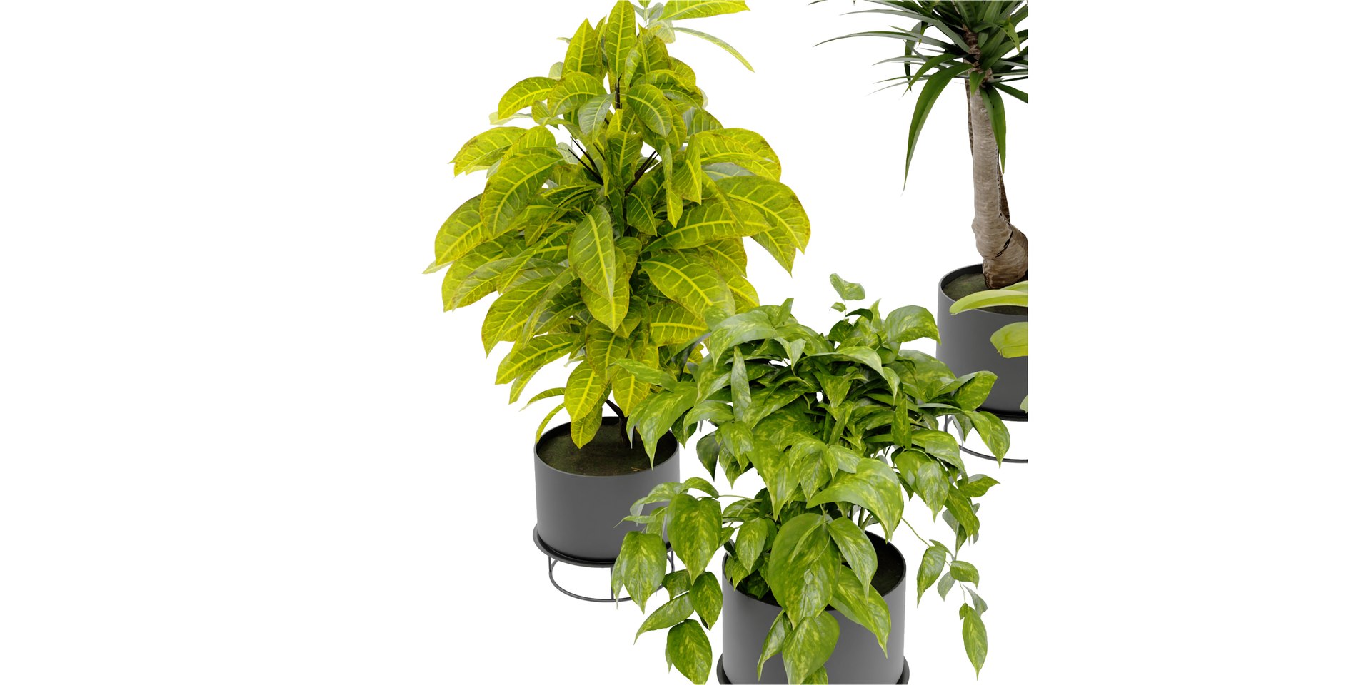 3D Collection Plant Vol 389 - Blender Model - TurboSquid 2095091