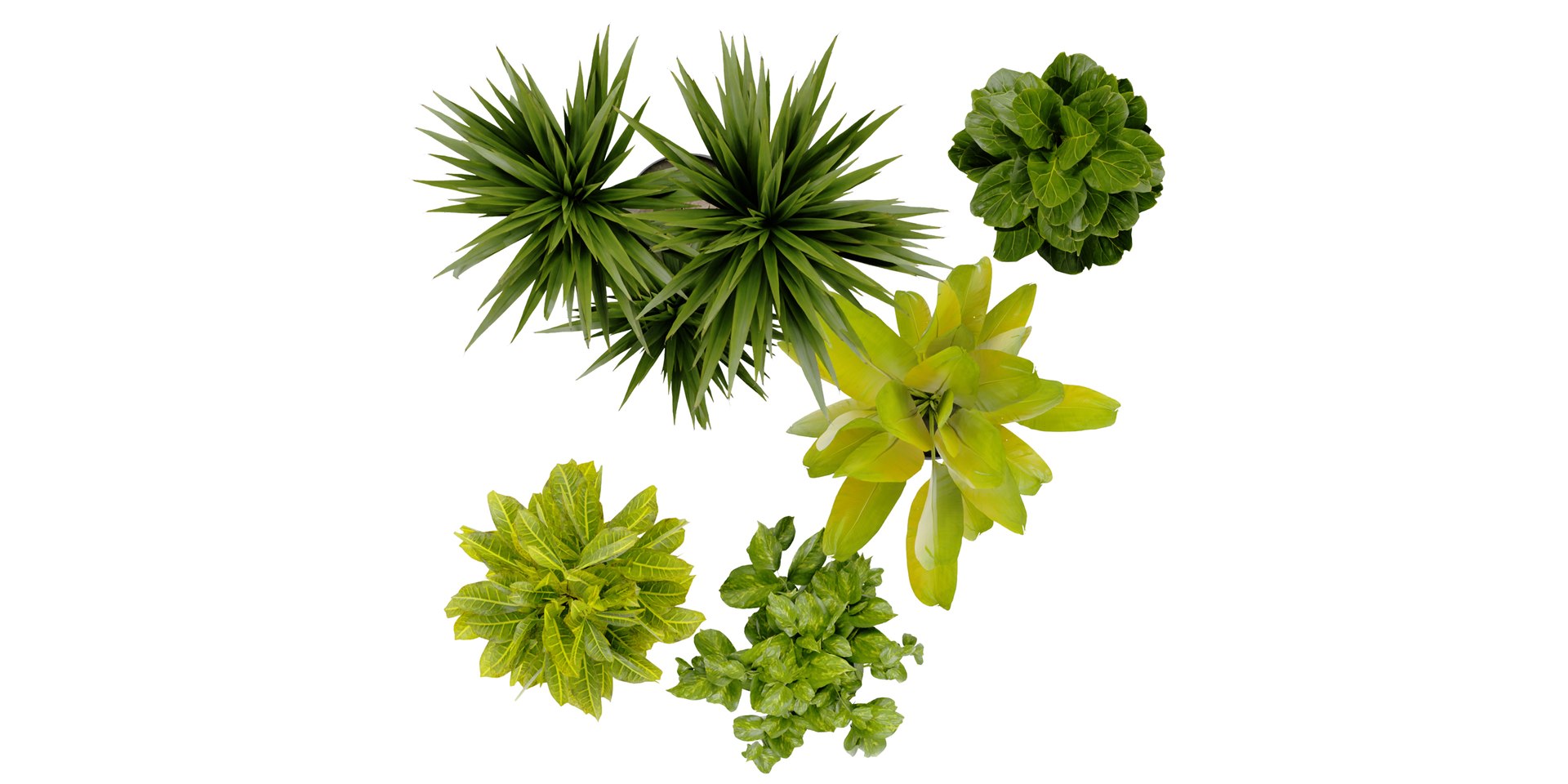 3D Collection Plant Vol 389 - Blender Model - TurboSquid 2095091