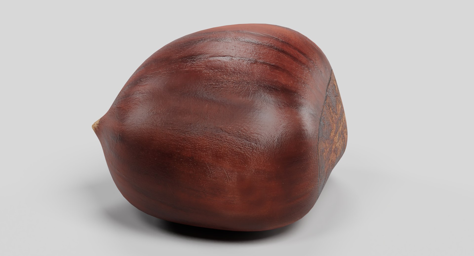 Sweet Chestnut 3D Model - TurboSquid 1346710