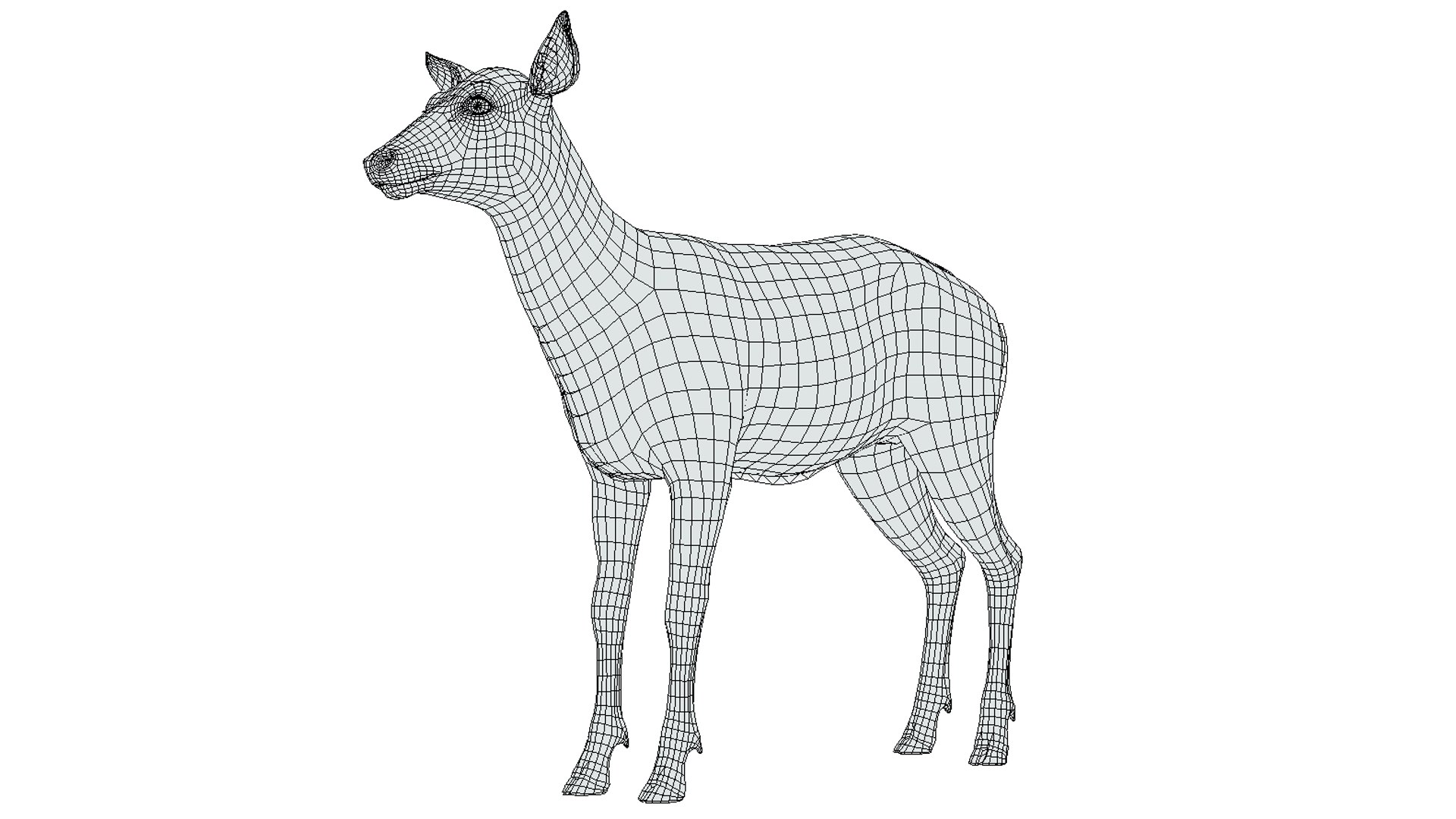 Red Deer Doe Model - TurboSquid 1979082