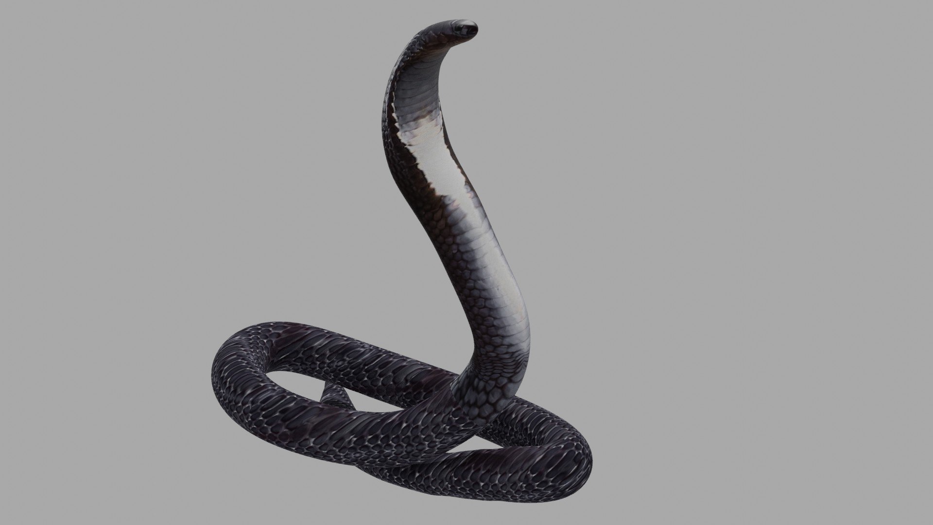 Snake 3D Model - TurboSquid 2075661