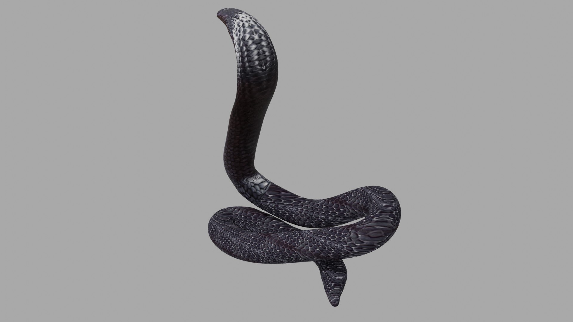 Snake 3D Model - TurboSquid 2075661