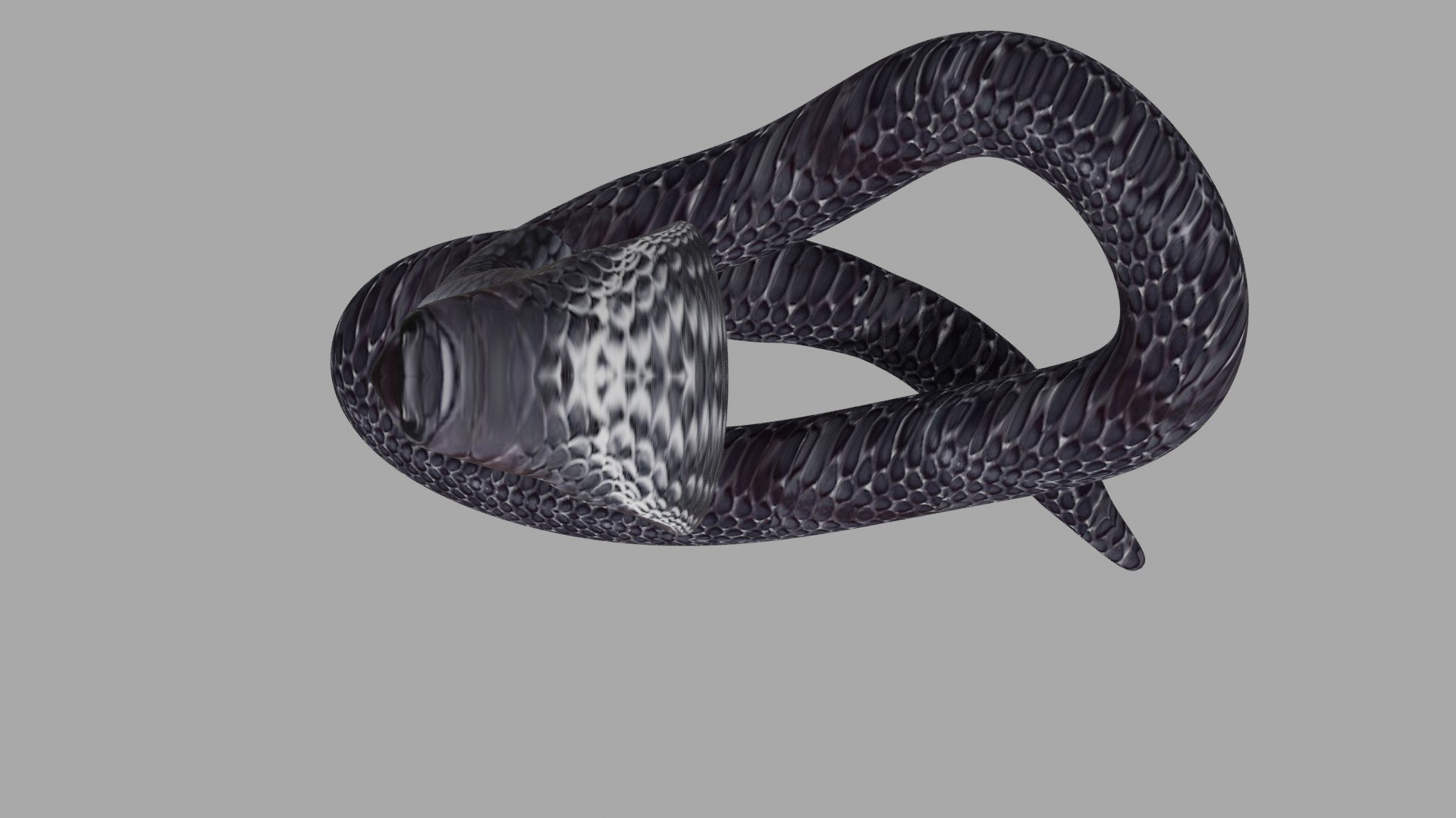 Snake 3D Model - TurboSquid 2075661