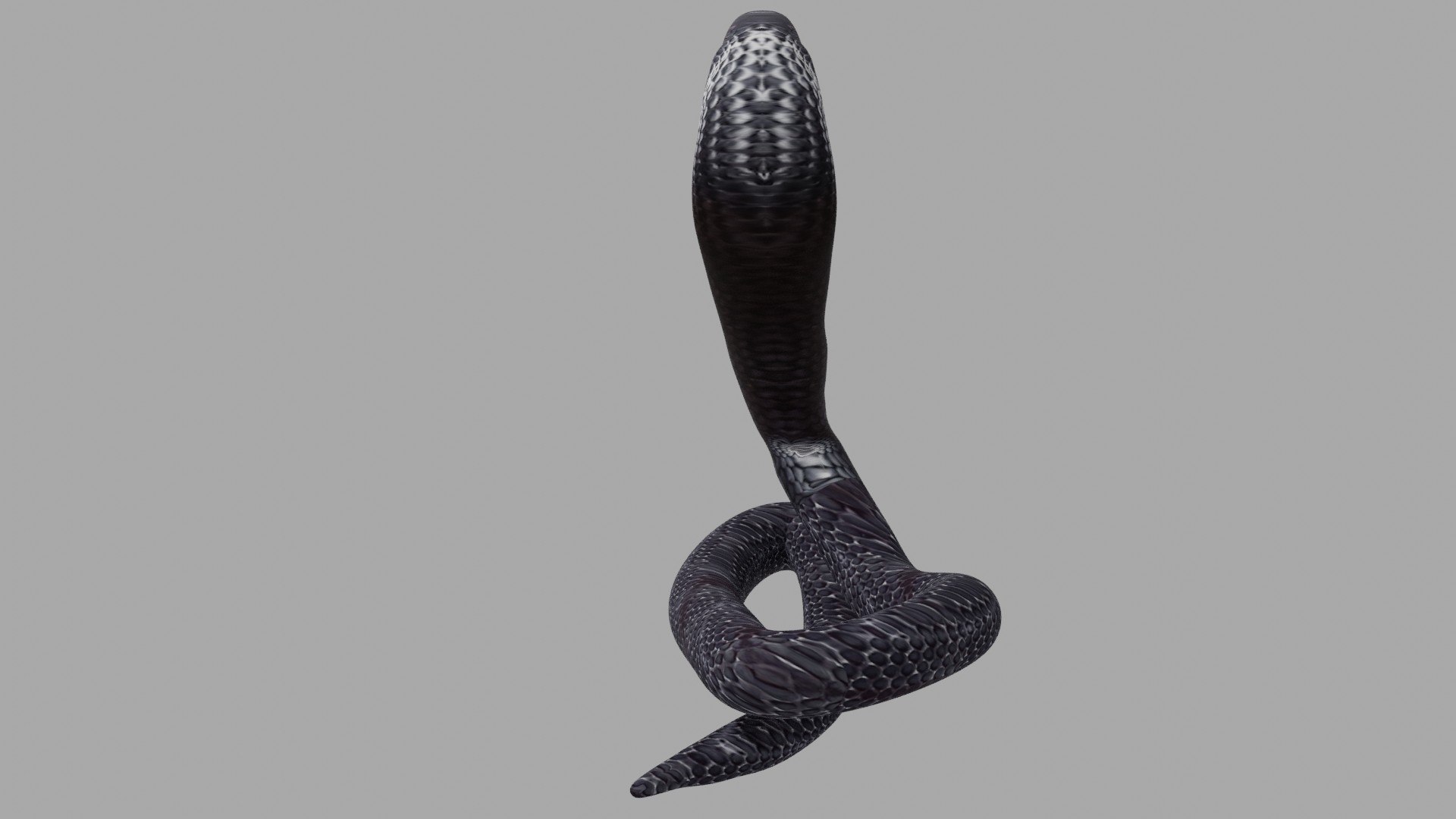 Snake 3D Model - TurboSquid 2075661