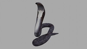 Snake Blender Models for Download | TurboSquid