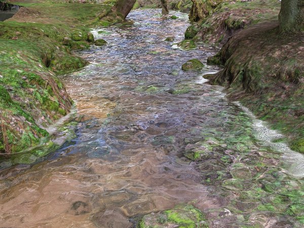 3d real river model