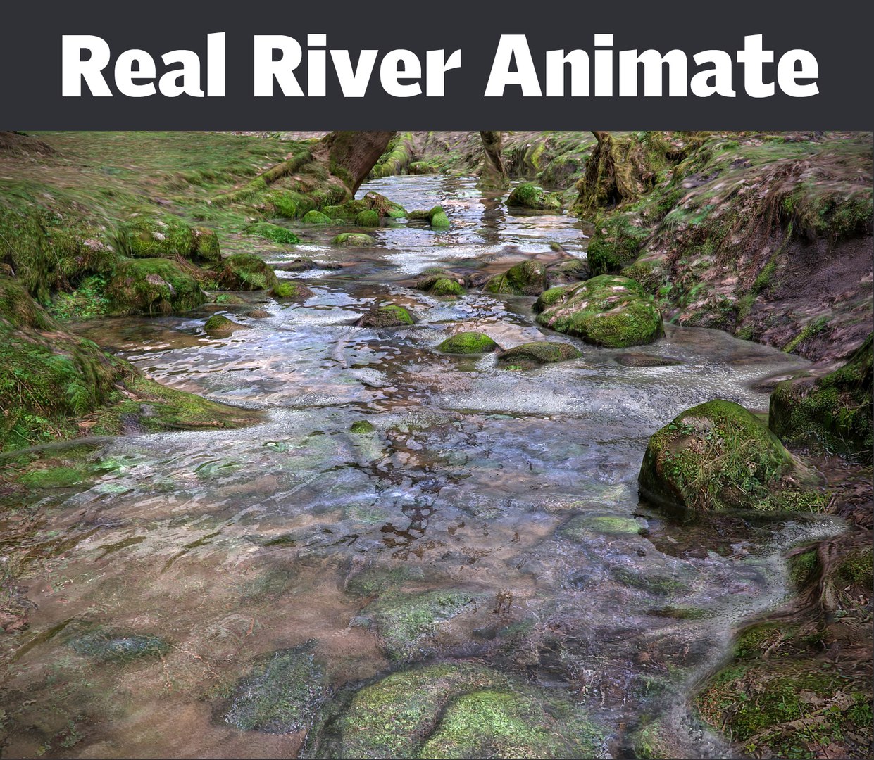 3d Real River Model