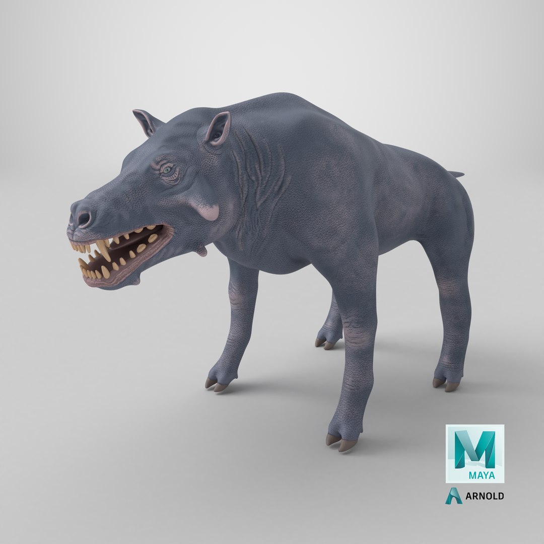 Entelodont 3D Model - TurboSquid 2411217
