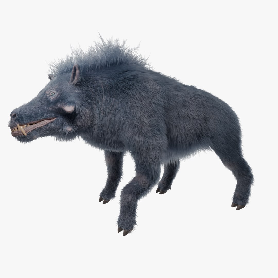 Entelodont 3D Model - TurboSquid 2411217