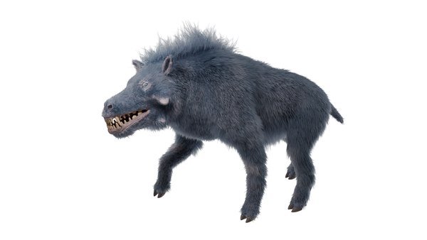 modelo 3d Entelodont - TurboSquid 2411217