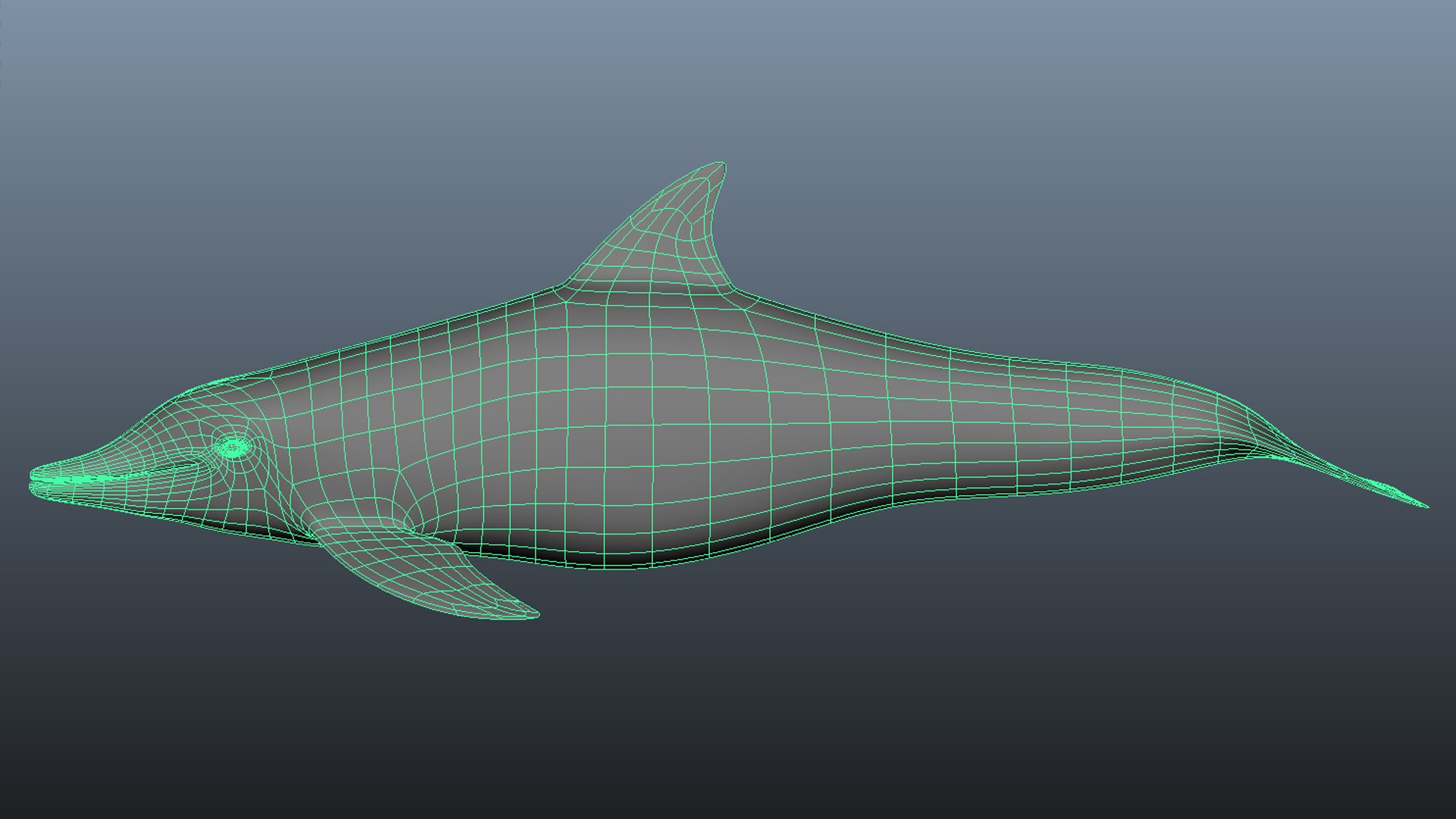 Dolphin Collection 3D - TurboSquid 1810666