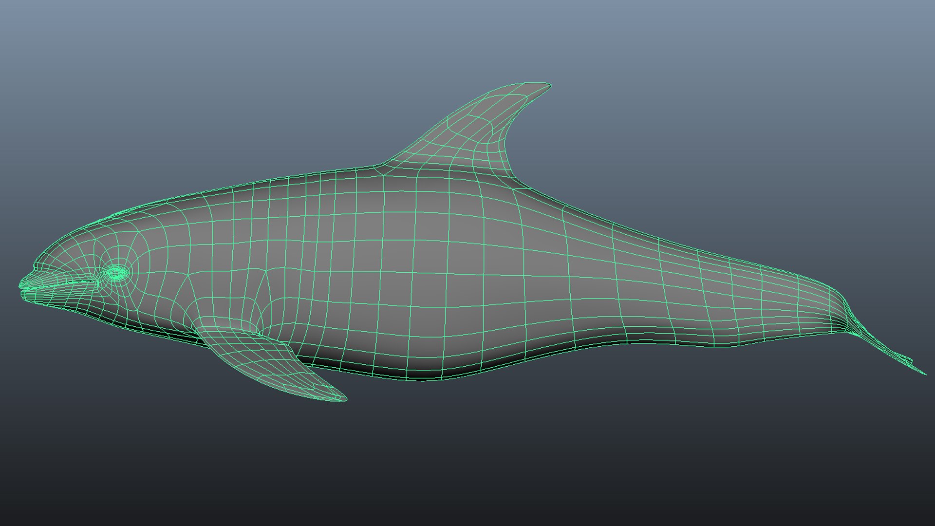 Dolphin Collection 3D - TurboSquid 1810666