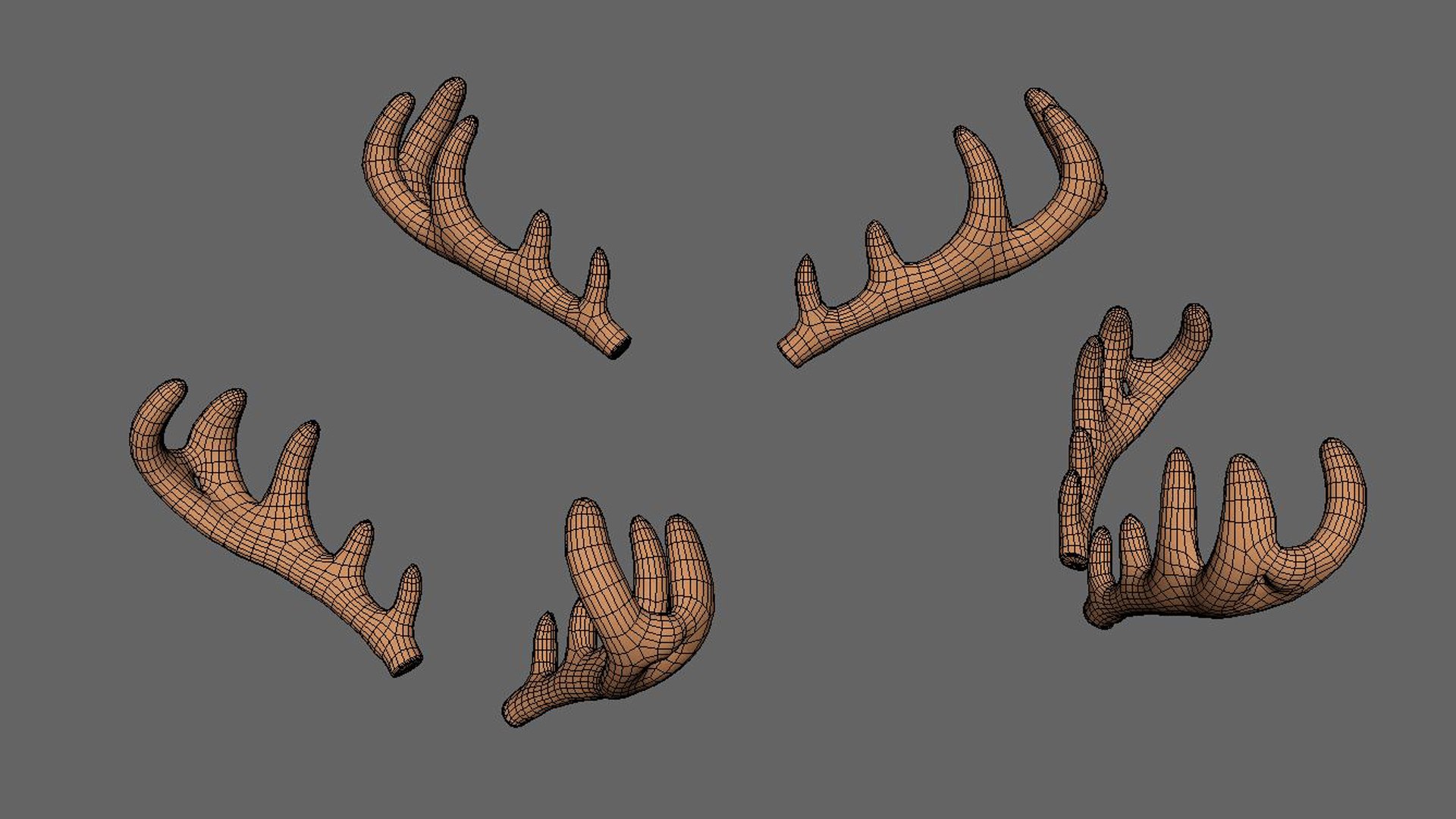 Wildlife Deer Antler Low-poly 3D Model - TurboSquid 2323053