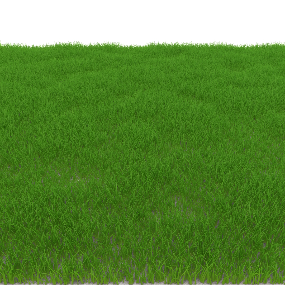 3d rectangular grass patch