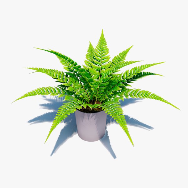 3D модель IKEA - FEJKA Faux Fern - Lumion Library - TurboSquid 2085340
