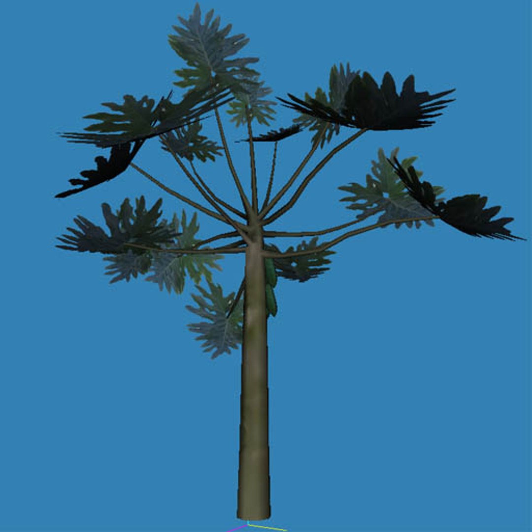 3d papaya tree plant