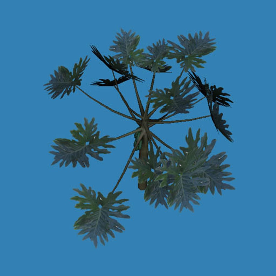 3d papaya tree plant